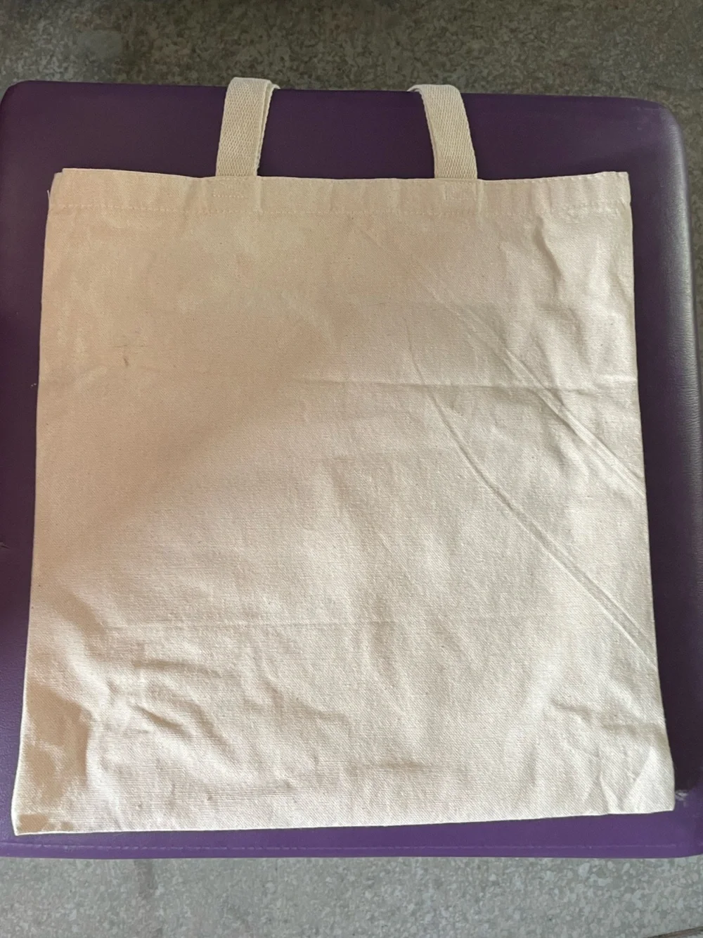 Art | Oakland Ca Canvas Cat Illustration Tote Bag In Natural | Poshmark